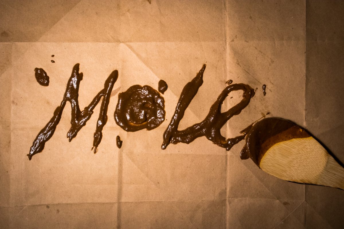Doña Maria Mole Ready to Serve - Easy Mole Recipe. How to Make Mole.